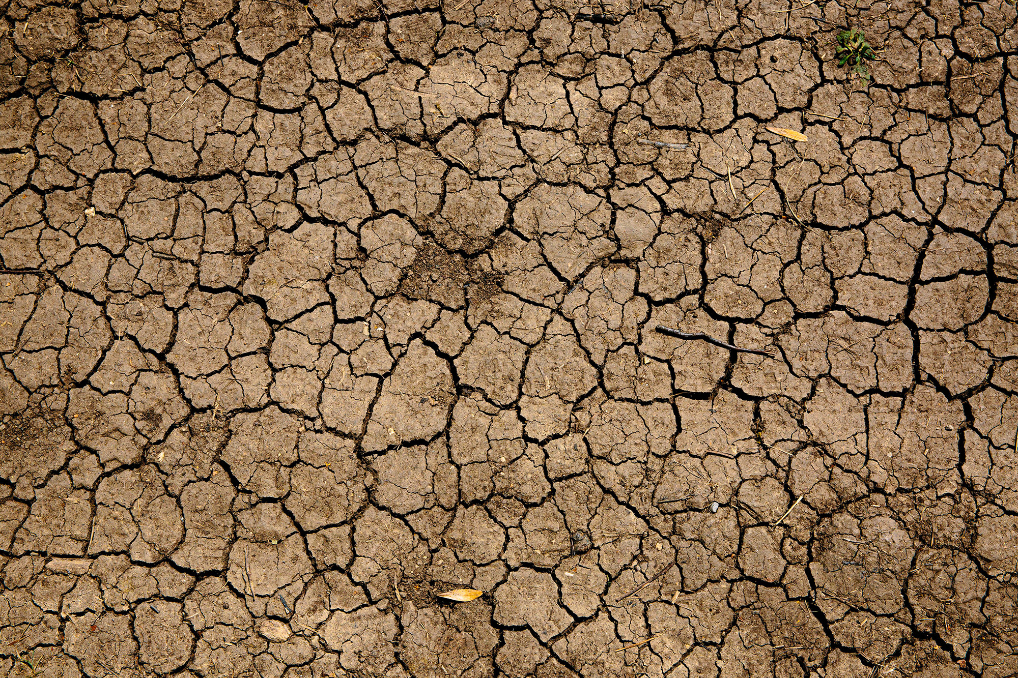 World Day To Combat Desertification And Drought Rising Up From world-day-to-combat-desertification-and-drought-rising-up-from