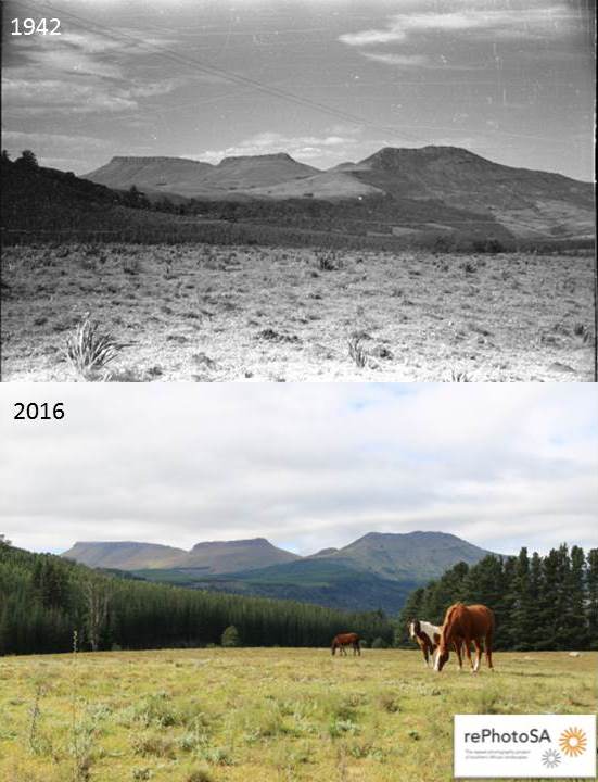Then and now: Citizen scientists document landscape changes | UCT News