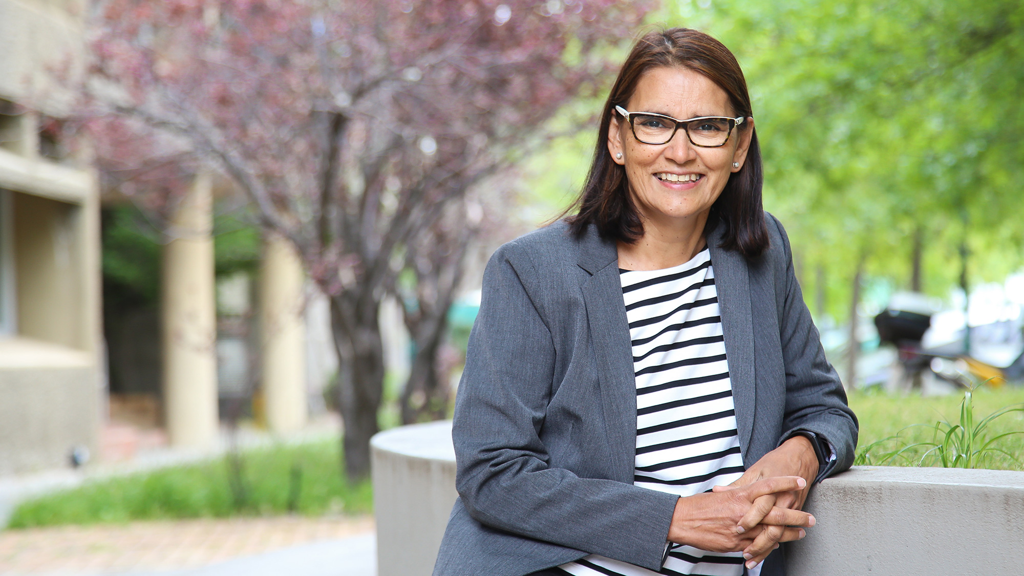 UCT Open Textbook Award: call for nominations | UCT News