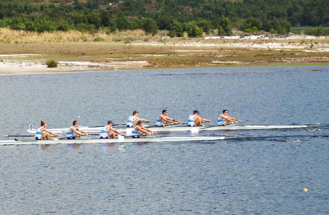 Multiple gold medals for rowing club | UCT News
