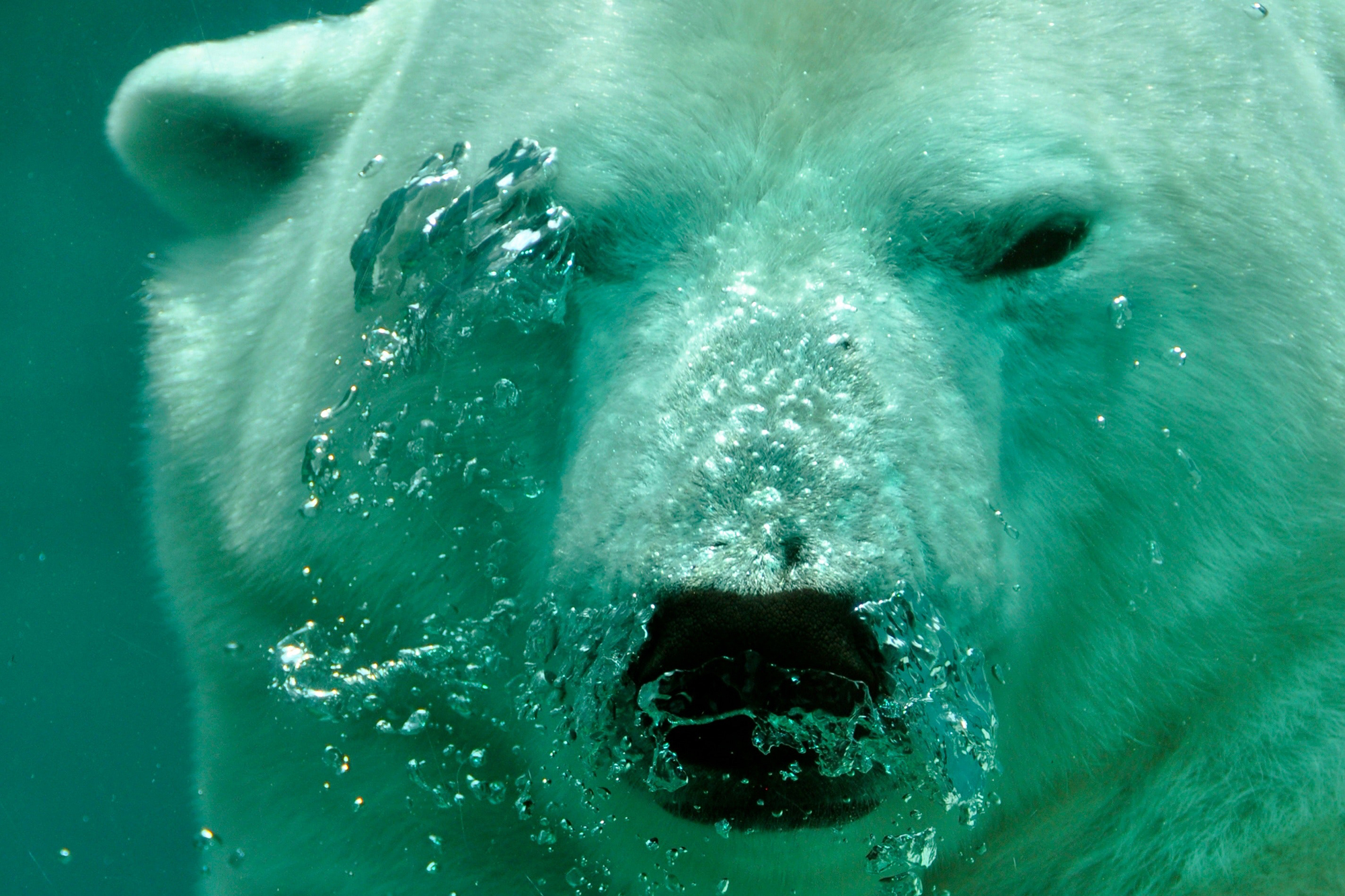 Documenting nature’s ‘dangerous decline’ | UCT News