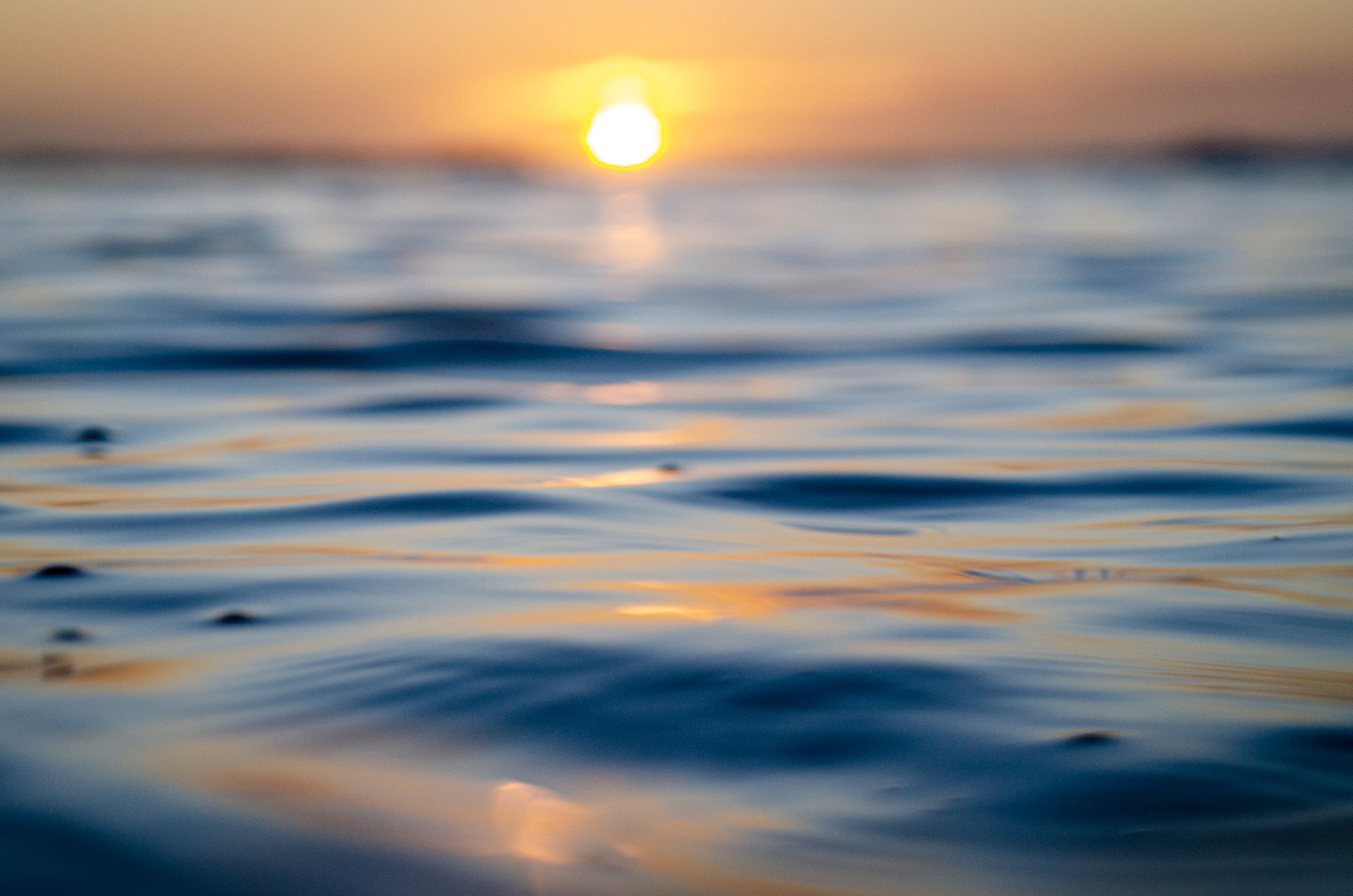 Three ways to secure the ocean’s survival | UCT News