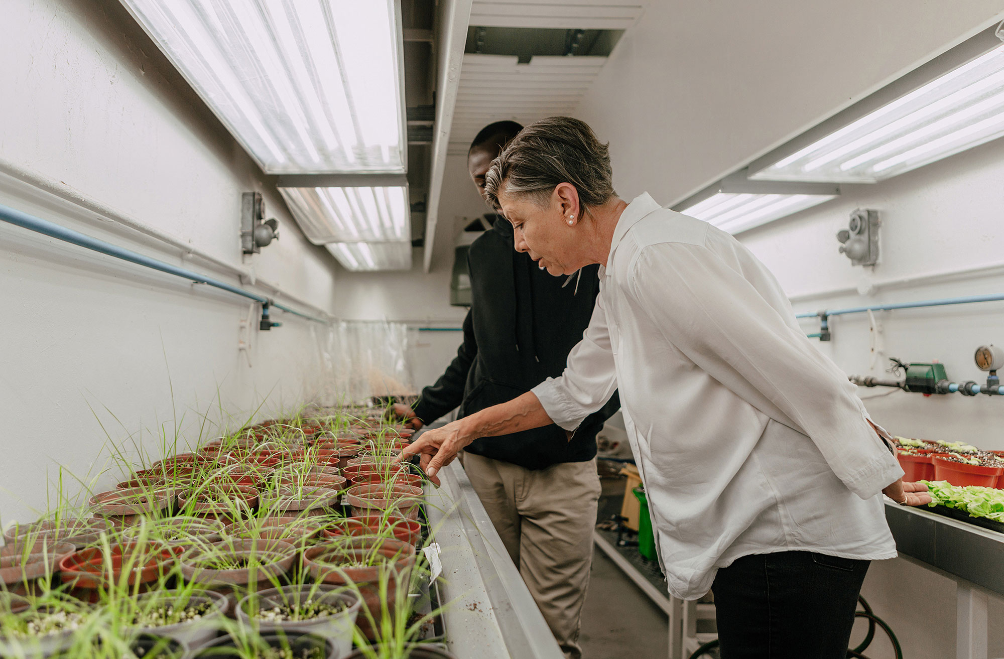 Farrant’s life’s work recognised with coveted German award | UCT News