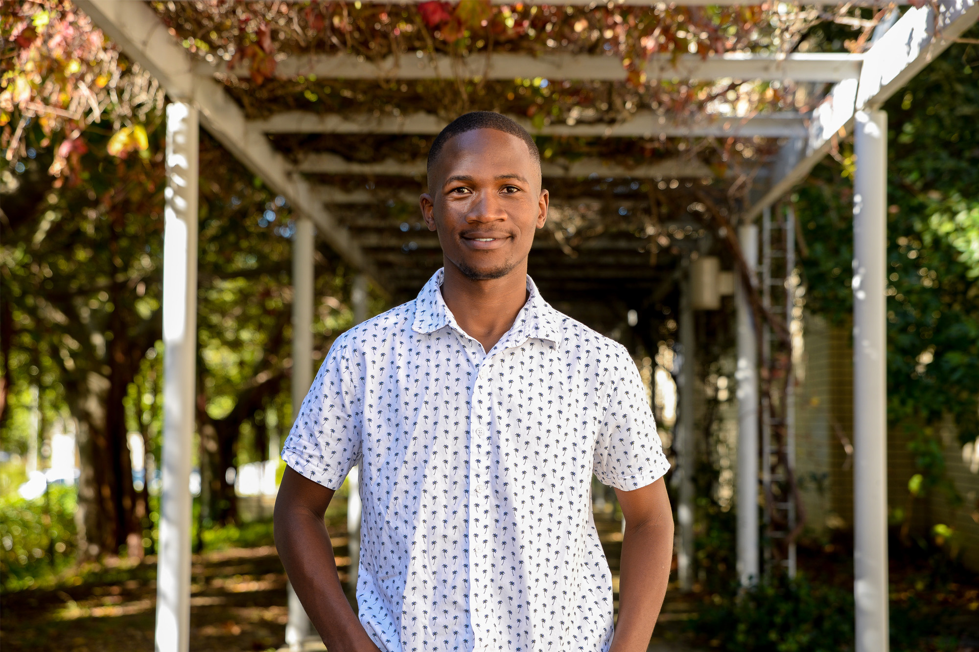 Balancing numbers and strides | UCT News