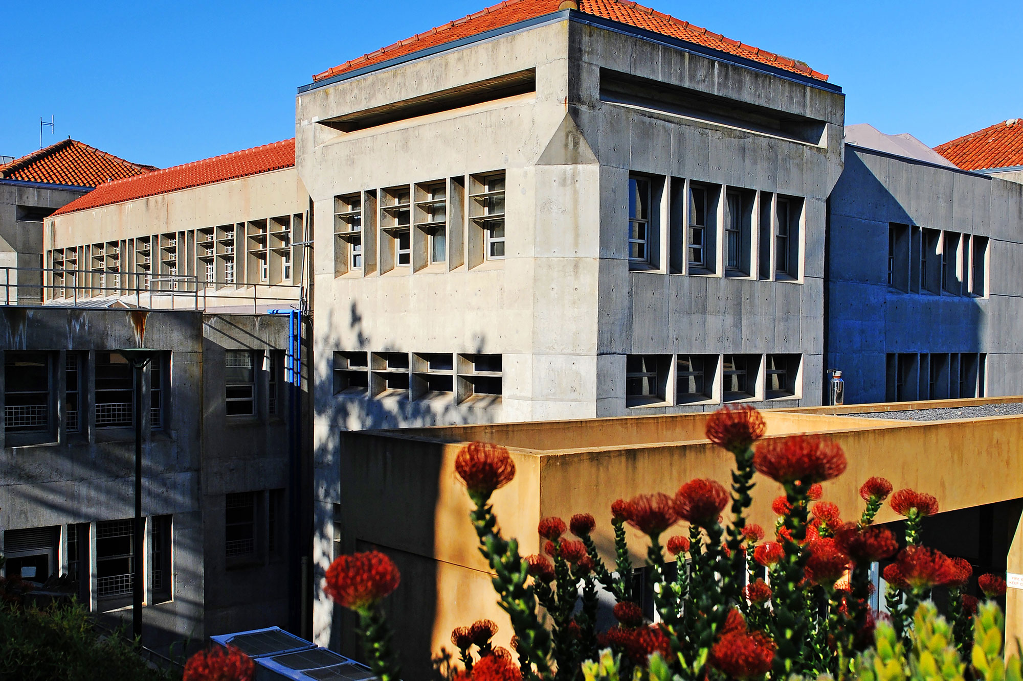 Finance, alumni and donors | UCT News