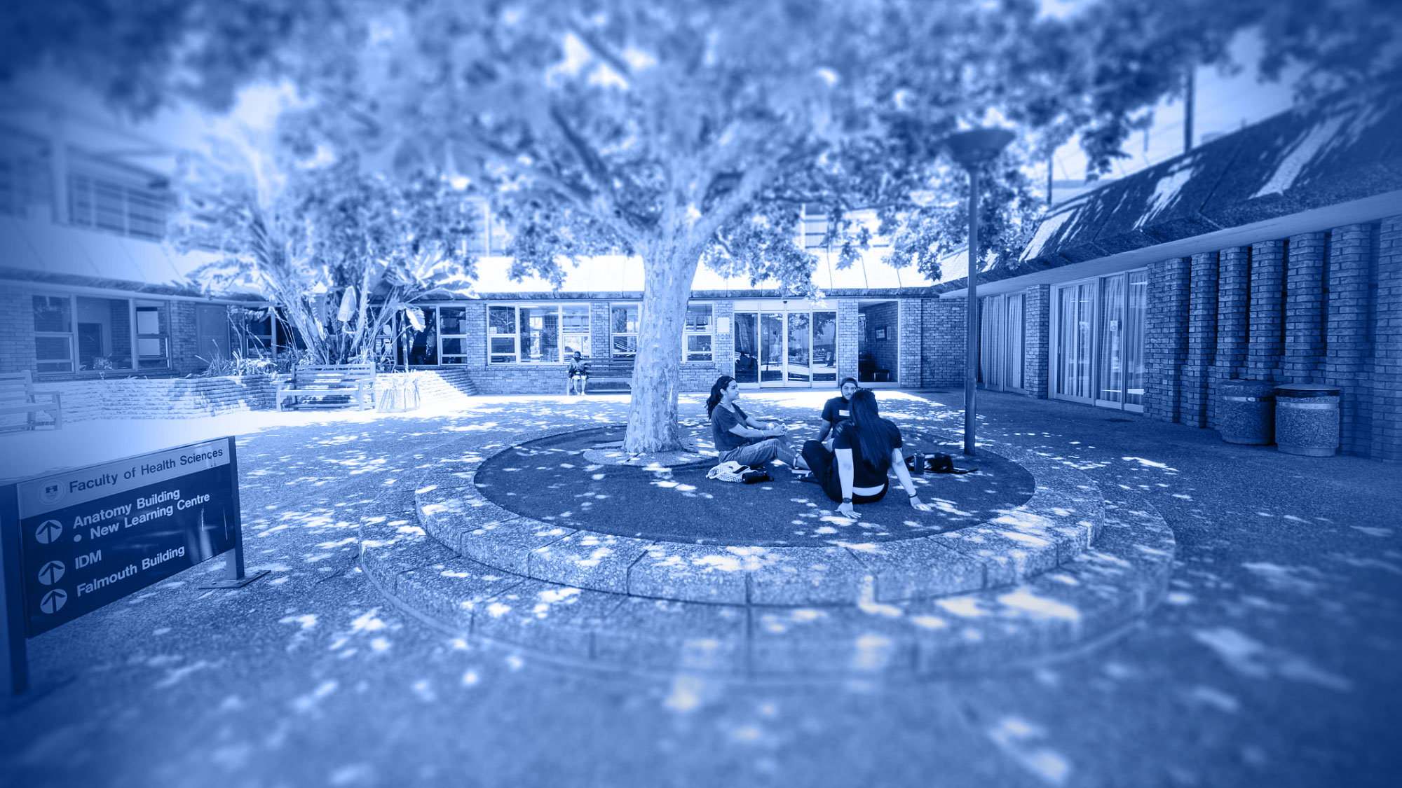 Faculty highlights | UCT News